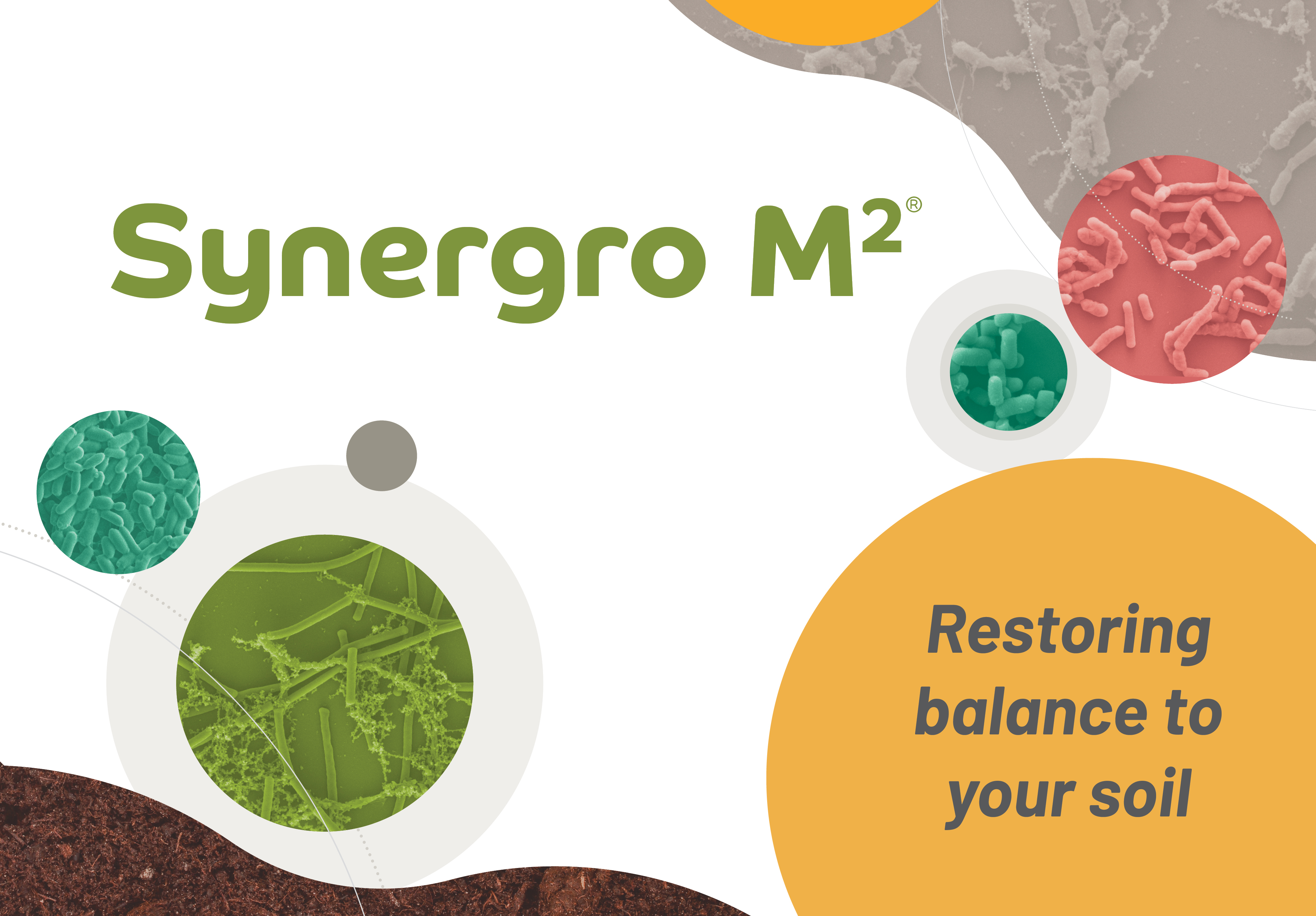 Synergro